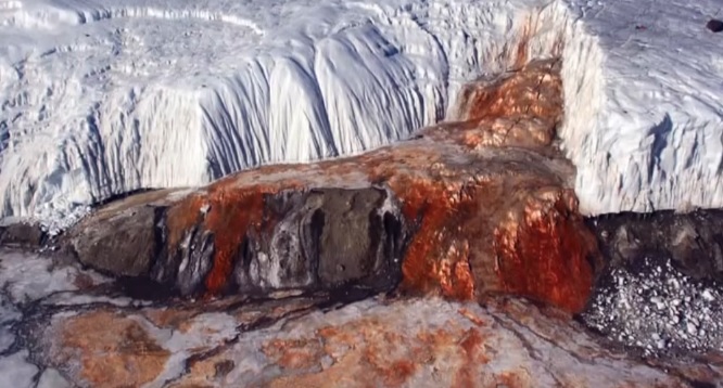 The Mystery Of Antarctica’s ‘Blood Waterfalls’ Solved; Here’s What It ...
